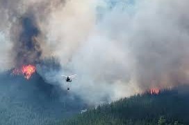 Incendios arrasan más de 15.000 hectáreas en la Patagonia: evacuados y ...